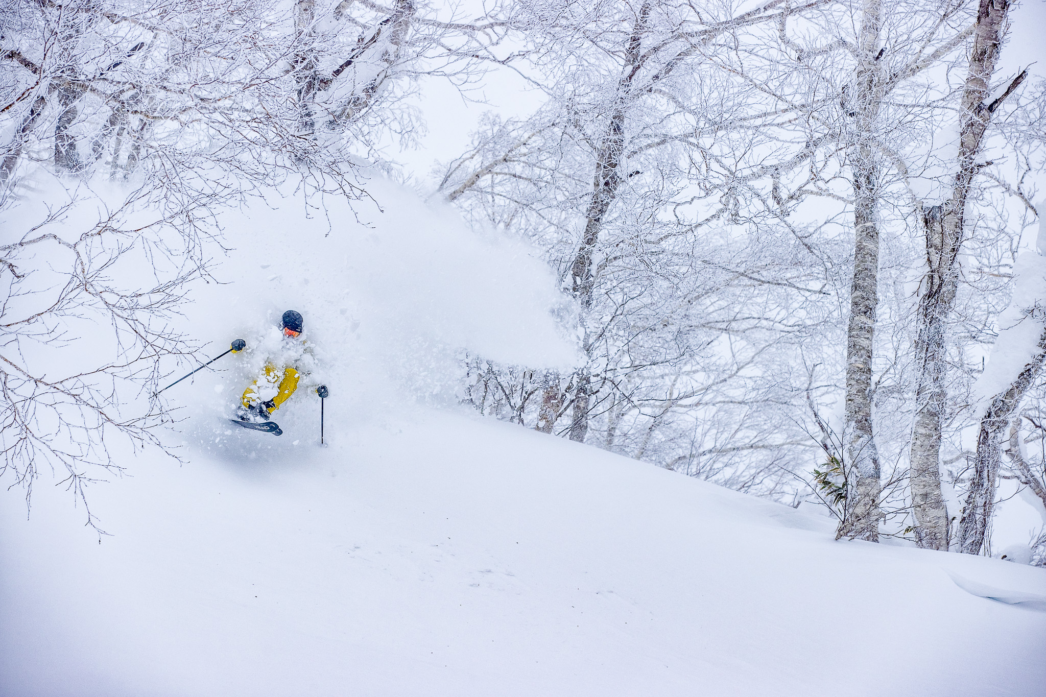 Japanuary has kicked off!